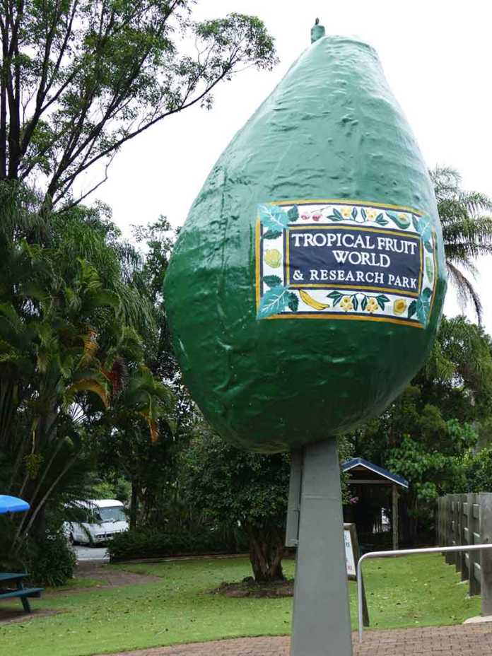Tropical Fruit World in Northern NSW is Fun For Fruit And Rides
