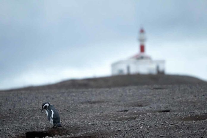 22 Famous Landmarks in Chile For Your Bucket List In 2026