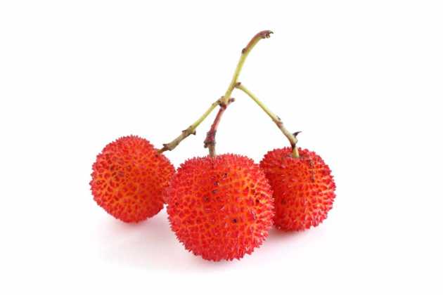 Asian Fruit Bible From A To Z In 2026