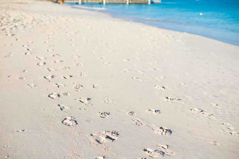20 Incredible Venezuela Beaches For Your Bucket List In 2026