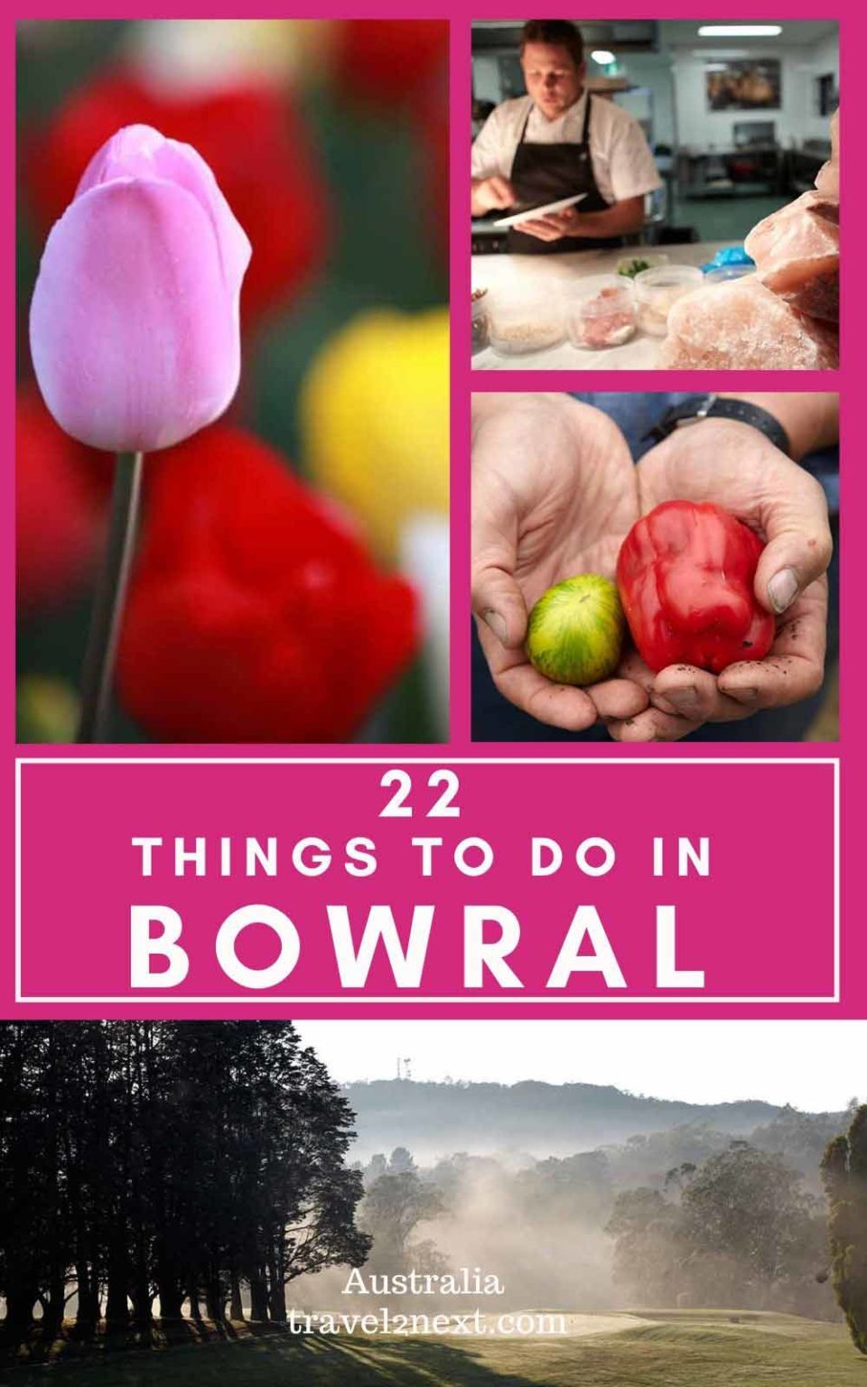 22 Amazing Things To Do In Bowral And The Southern Highlands In 2026