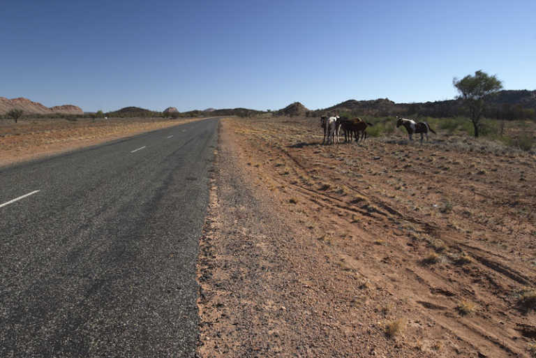 Things to do in Alice Springs - 10 Places To Visit in this Northern ...