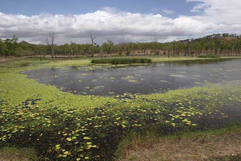 Cairns to Cooktown Road Trip - A Driving Adventure
