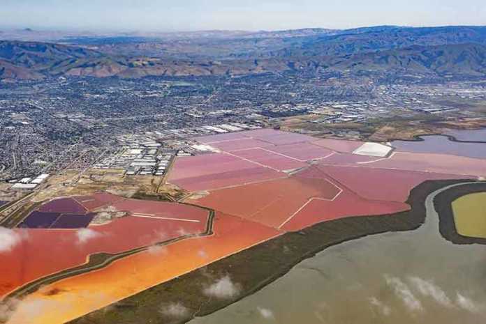 20 Things To Do In Fremont (California) In 2026