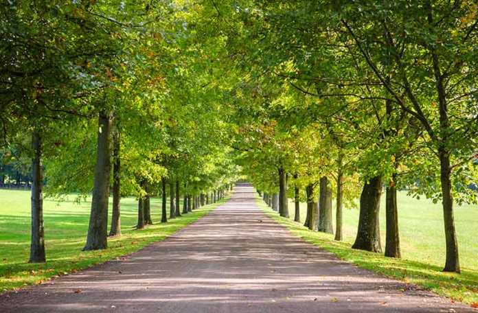 21 National Parks In Pennsylvania To Explore In 2026