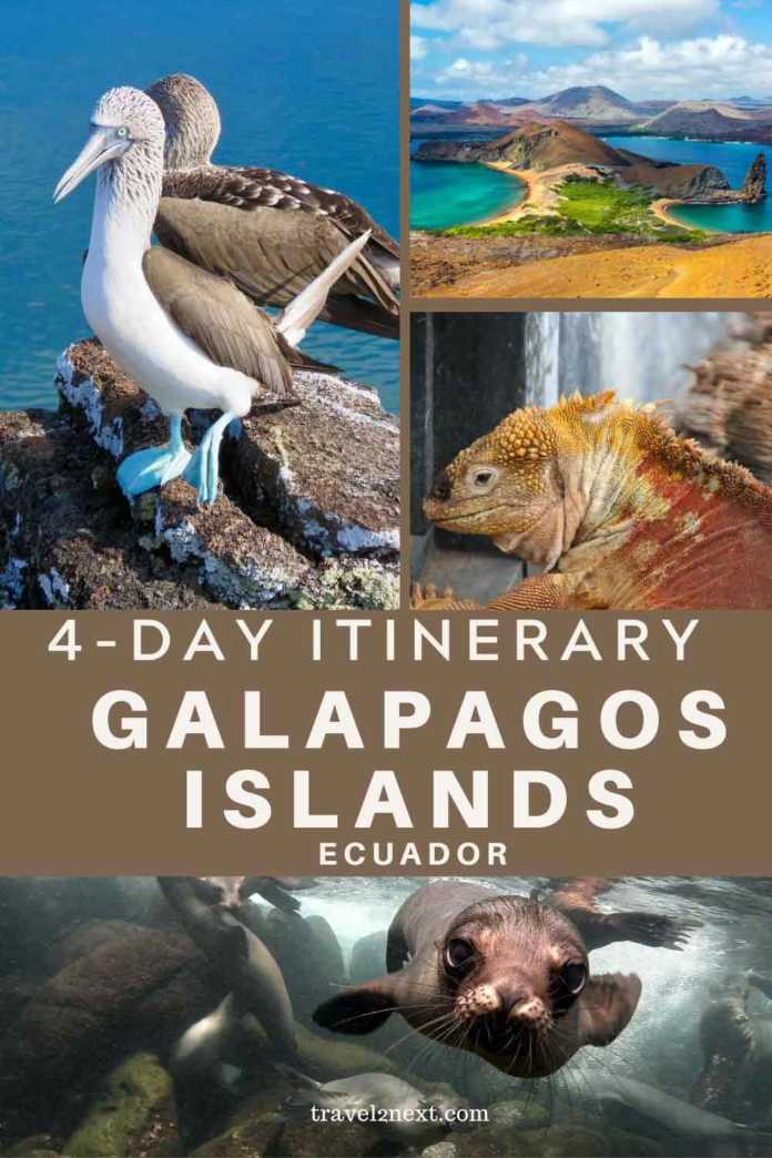 Galapagos Islands Itinerary - 5 Days Self Guided Islands and Snorkel Tour