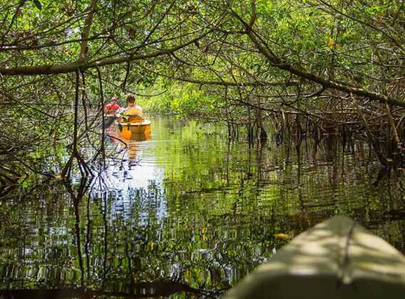 20 Places To Explore On A Houston To Miami Road Trip 2026
