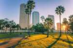 20 Places To Explore On A Houston To Miami Road Trip 2026