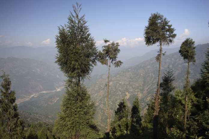 Hill Stations in North India - Kalimpong In 2026