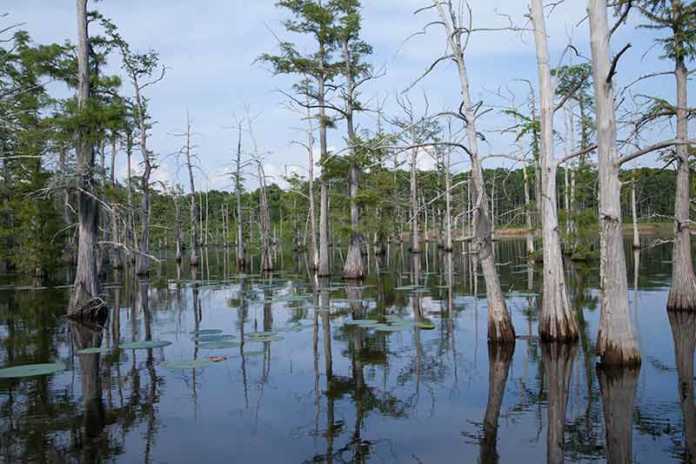 21 Louisiana Landmarks To See In 2026
