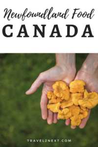 The Most Delicious Newfoundland Food To Try In Canada