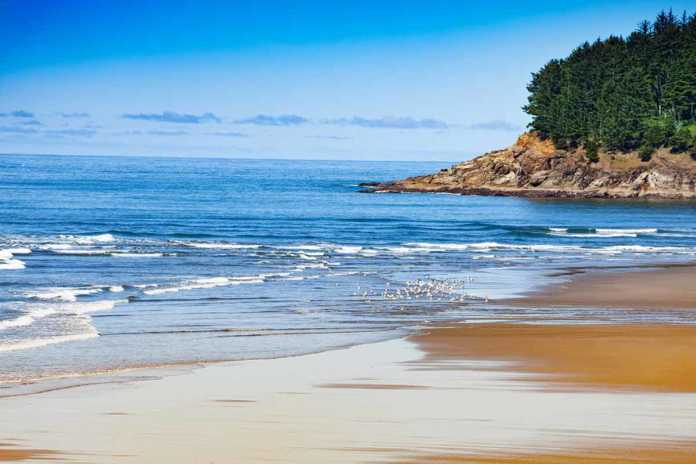 20 Amazing Beaches In Oregon To Visit In 2026