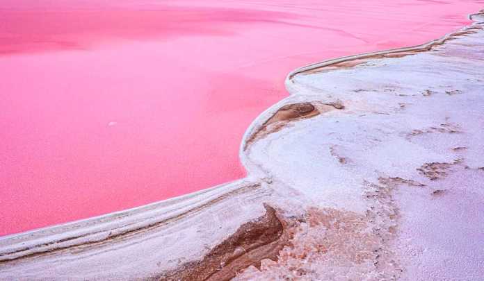 20 Amazing Pink Lakes Around The World (2026 )