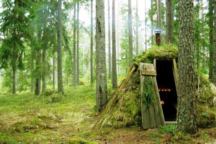 9 Amazing Treehouse Hotels Around The World To Stay In 2026