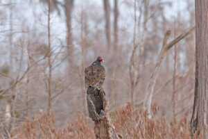 20 Georgia State Parks To Visit In 2026