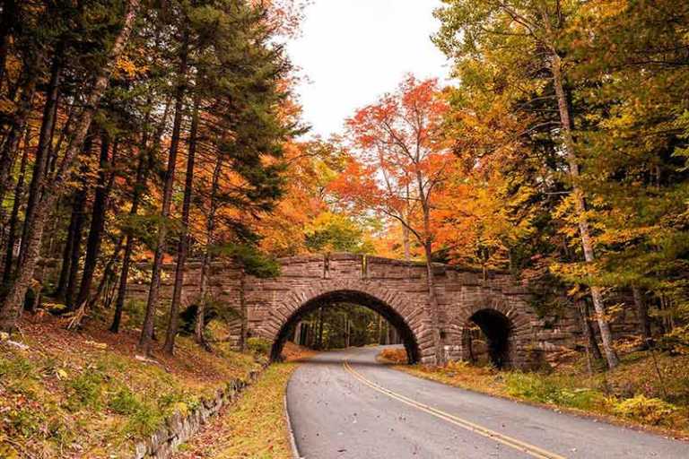 20 USA National Parks (East Coast) You Will Want To Visit In 2026