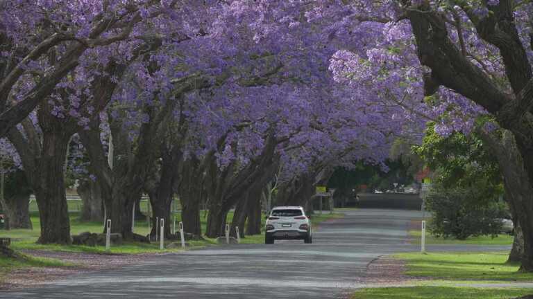 19 NSW Country Towns To Explore In 2026