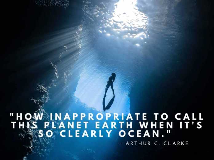 120 Ocean Quotes To For Inspiration (To Use WIth Instagram)