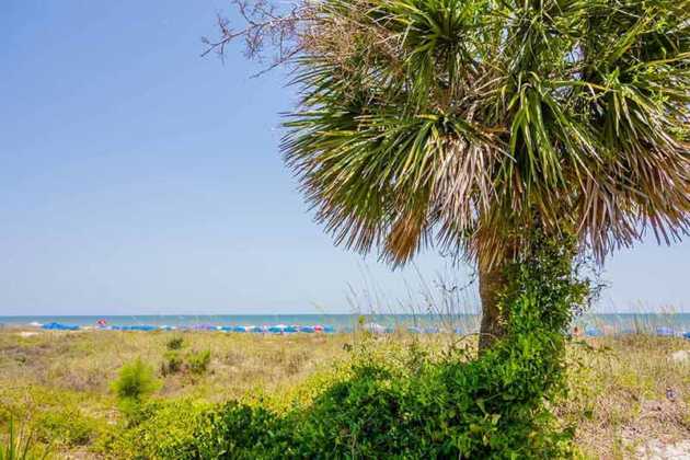 20 Georgia Beaches To Visit In 2026