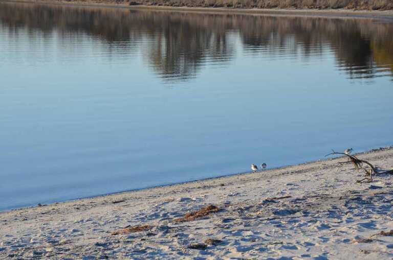 20 Beaches In Missouri For your 2026 Bucket List
