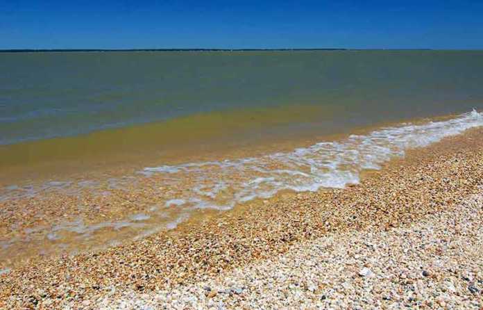 20 Beaches In Virginia To Visit In 2026