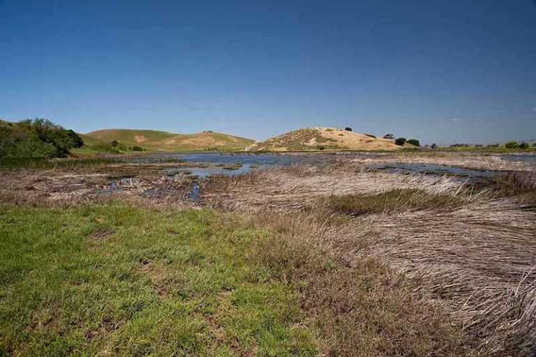 20 Things To Do In Fremont (California) In 2026