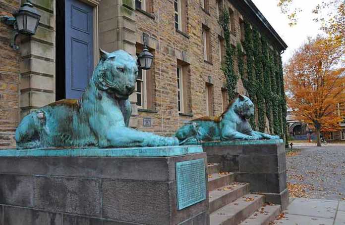 20 Things To Do In Princeton NJ In 2026