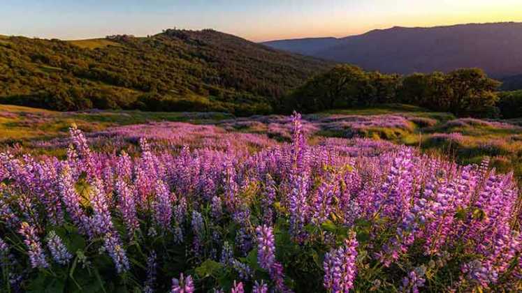 Best Time To Visit California In 2026 - Ideas For Every Season