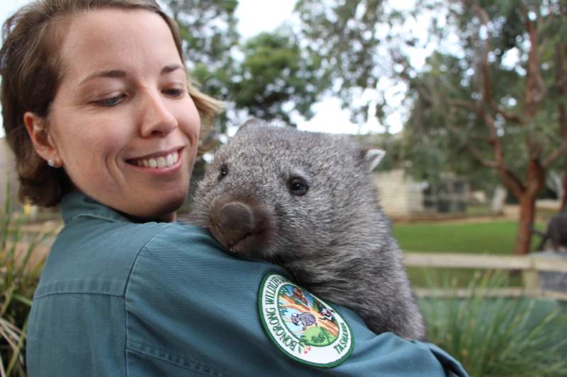 Bonorong Wildlife Sanctuary - Interview With A Volunteer Wildlife Keeper