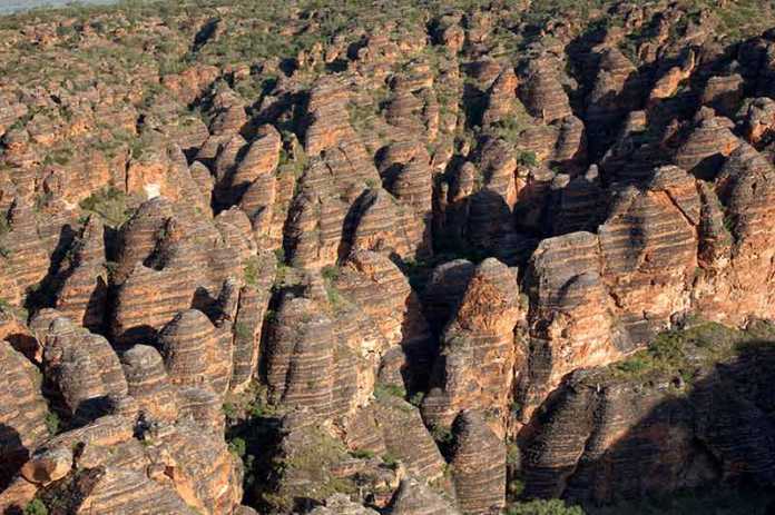 Bungle Bungles Adventure in Purnululu National Park