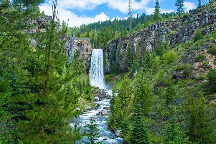 20 Oregon State Parks To Explore In 2026