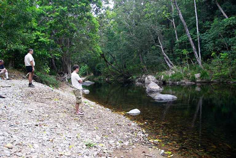 Cairns to Cooktown Road Trip - A Driving Adventure