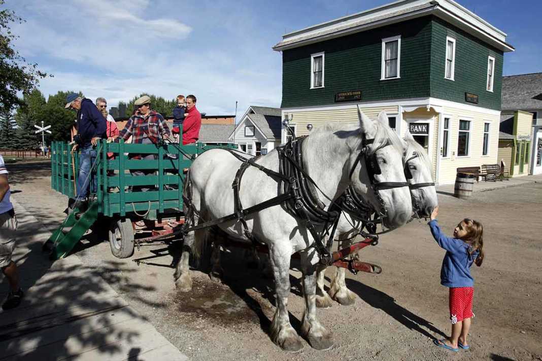 Things To Do In Calgary What To See Where To Eat And Where To Stay