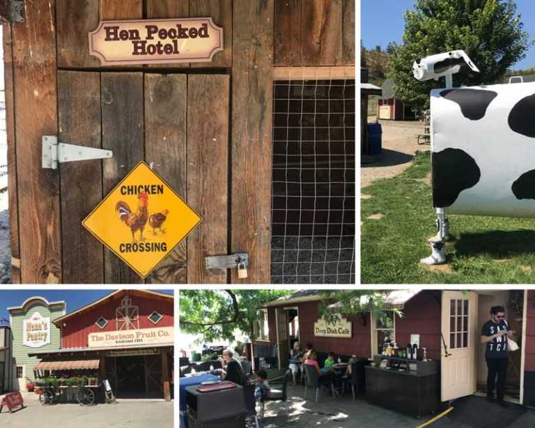 Davison Orchards - A Family Farm Attraction in the Okanagan