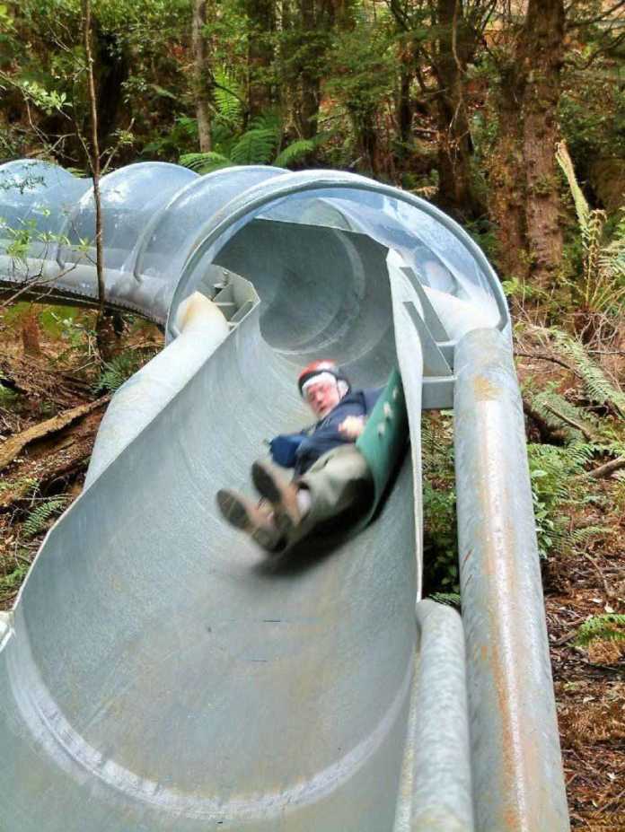 Dismal Swamp Tasmania - The jungle ride is an adrenalin rush - Travel2Next