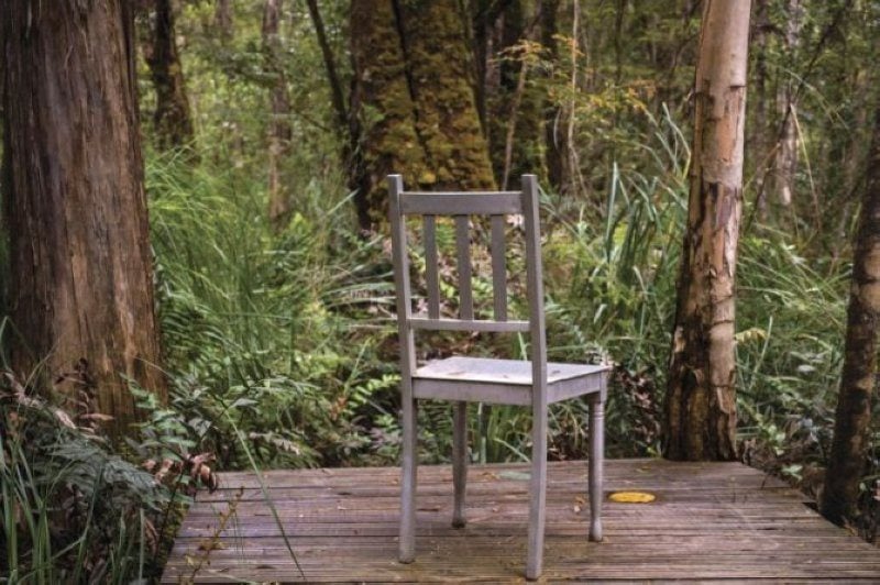 Dismal Swamp Tasmania - The jungle ride is an adrenalin rush - Travel2Next