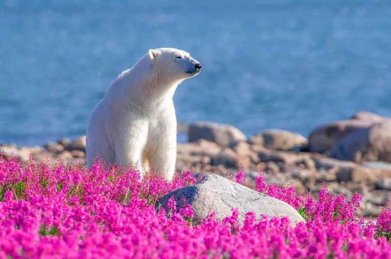 15 Ways To Enjoy Fall In Canada - Autumn In Canada In 2026