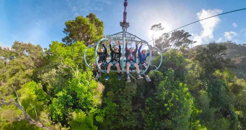 26 Amazing Things To Do In Nelson (New Zealand) in 2026