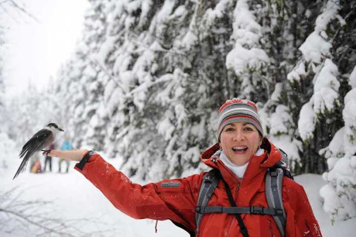 Gaspesie National Park Photo Gallery - Winter snowshoeing and skiing
