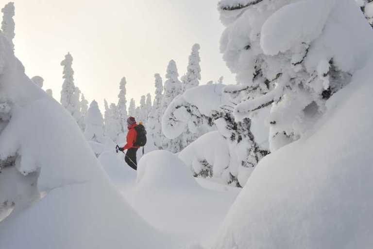 Gaspesie National Park Photo Gallery - Winter snowshoeing and skiing
