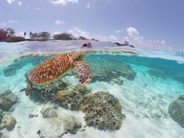 Southern Great Barrier Reef Secrets - Islands and Coastline