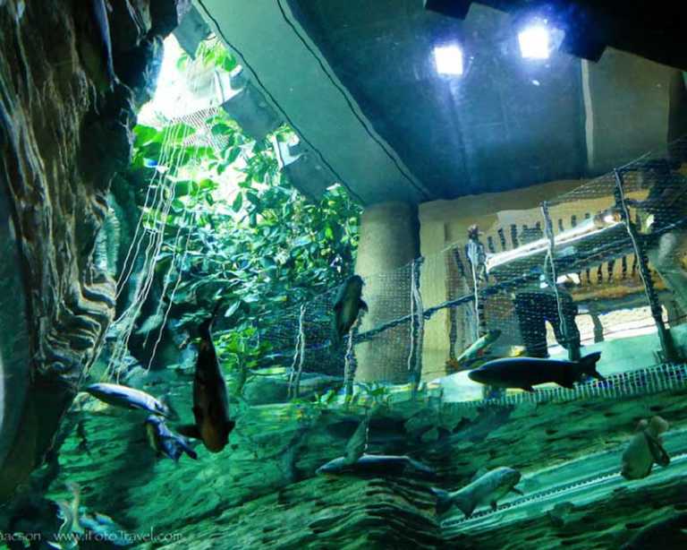 Green Planet Dubai - Biodome Tropical Rainforest |Travel2next