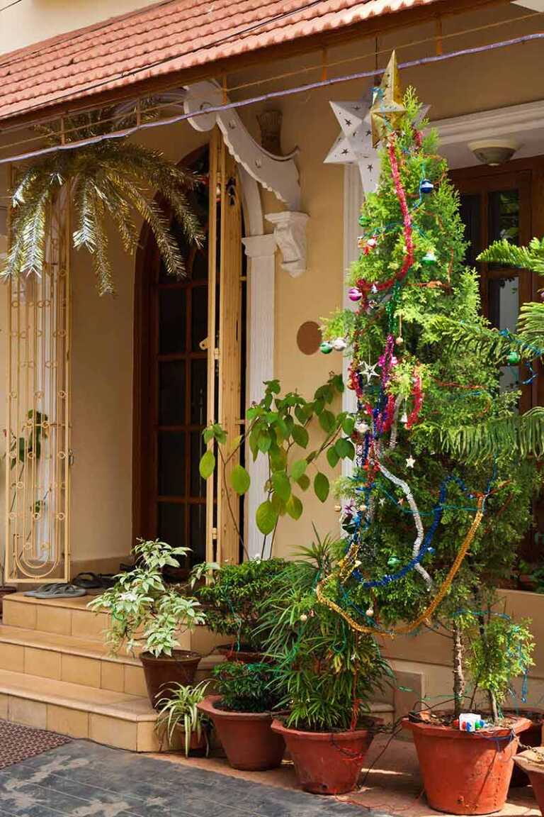 Everything You Need To Know About Christmas In India In 2026