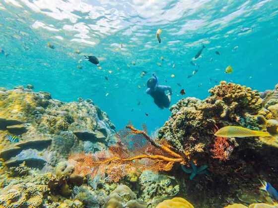A Guide To Huatulco, Mexico, In 2026