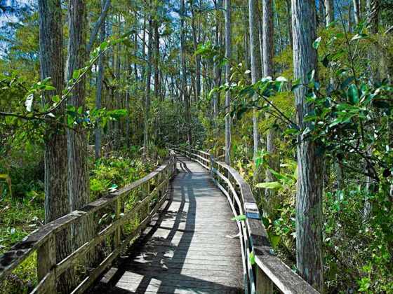 29 Famous Florida Landmarks For Your 2026 Bucket List