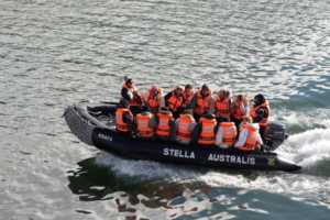 Patagonia Cruise - MV Stella Australis Cruise Review and Itinerary