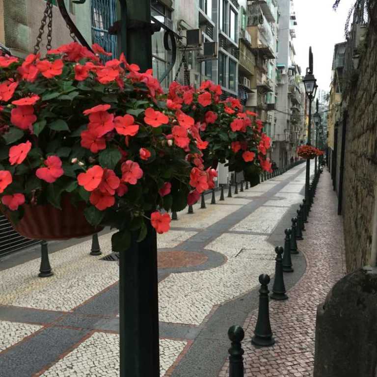 Macau Portuguese Pavements Design | Travel2Next
