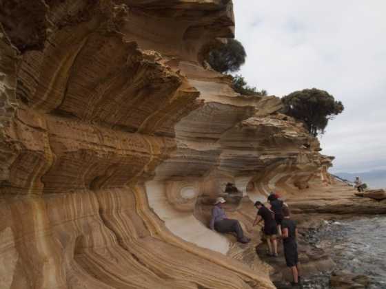 Maria Island Is An Amazing Place For A 4-Day Hike in 2026