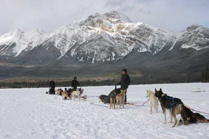 Mamot Basin Ski Resort Photo Gallery | Ski Canada | Travel2next