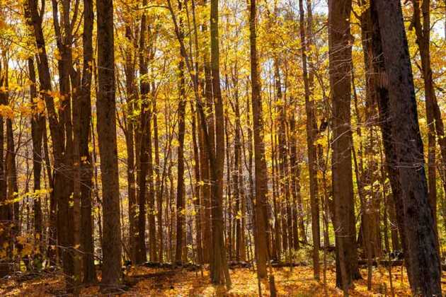 5 National Parks In Connecticut To Explore In 2026